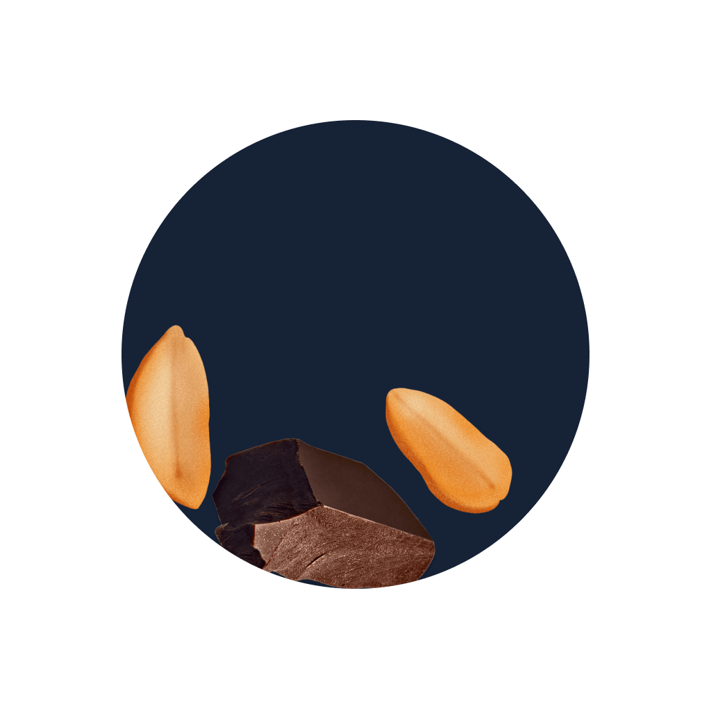 Organic Dark Chocolate | ChocXO Snacks – Chocxo