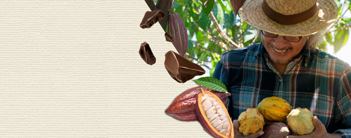 Sustainability – Chocxo