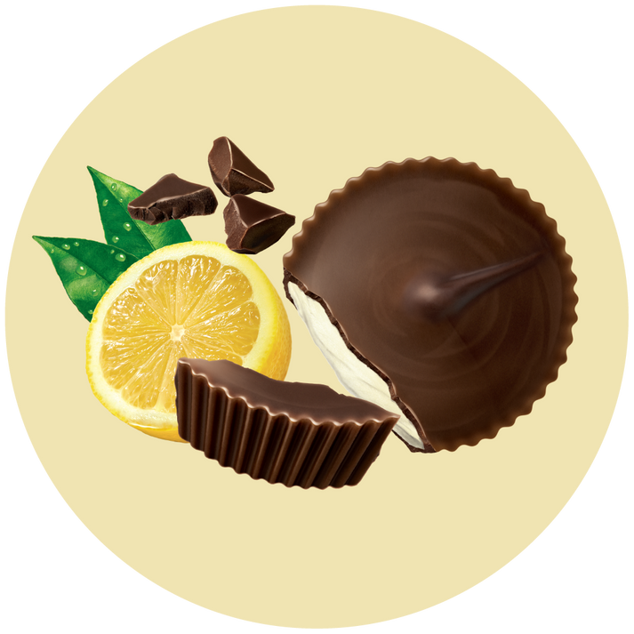 Dark Chocolate Lemon Crème Cups – Chocxo